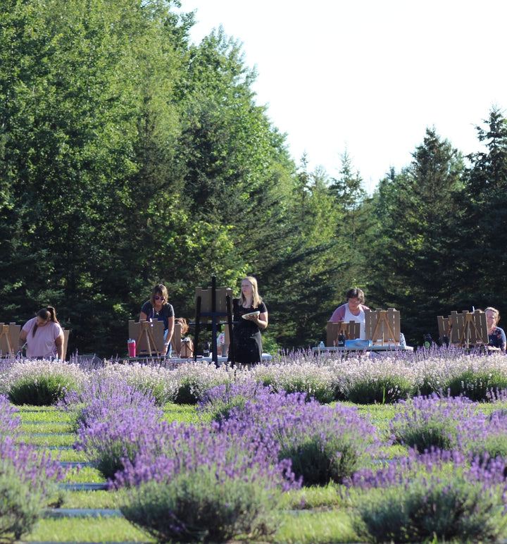 Spring Creek Lavender – U-Pick Lavender & Flower Farm in Upstate NY