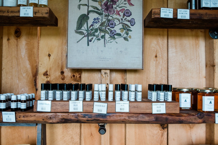 Spring Creek Lavender – U-Pick Lavender & Flower Farm in Upstate NY